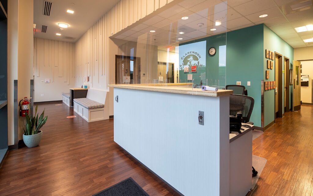 Home - Infinity Building Services